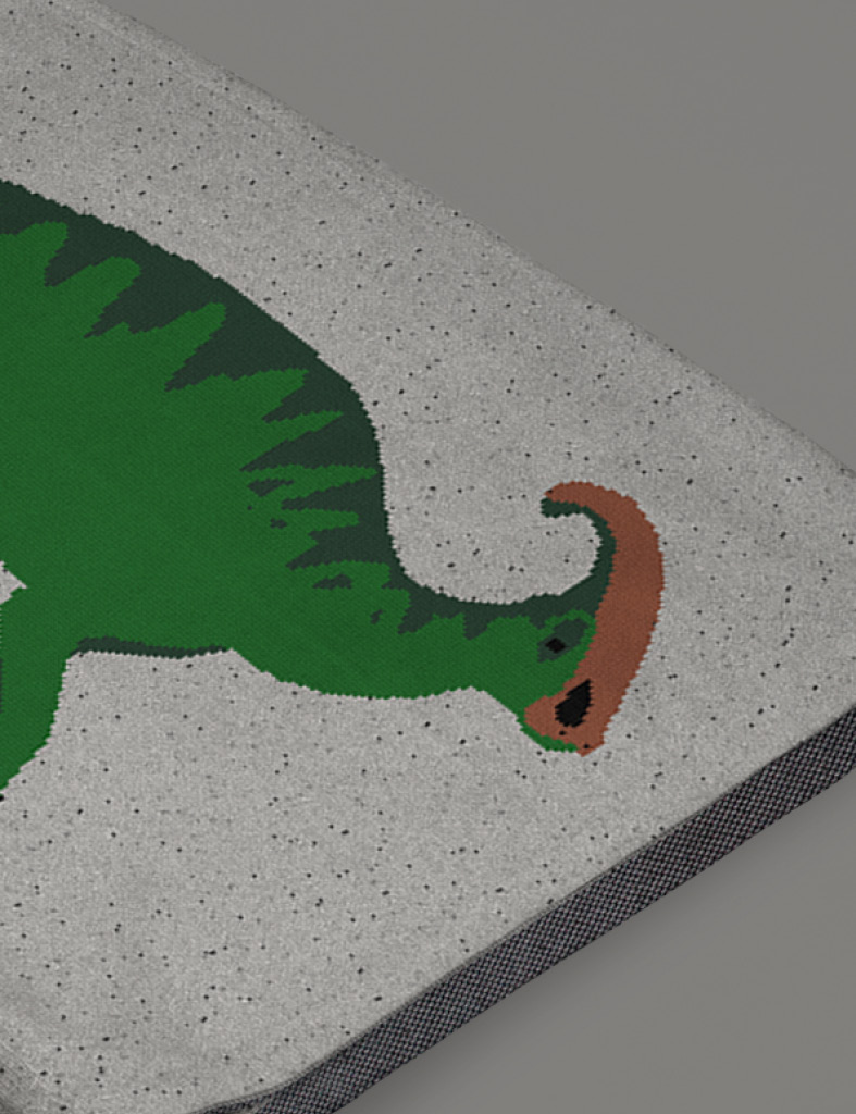 Kids Parasaur Blanket, Personalised, Australian Made, 100% Cotto